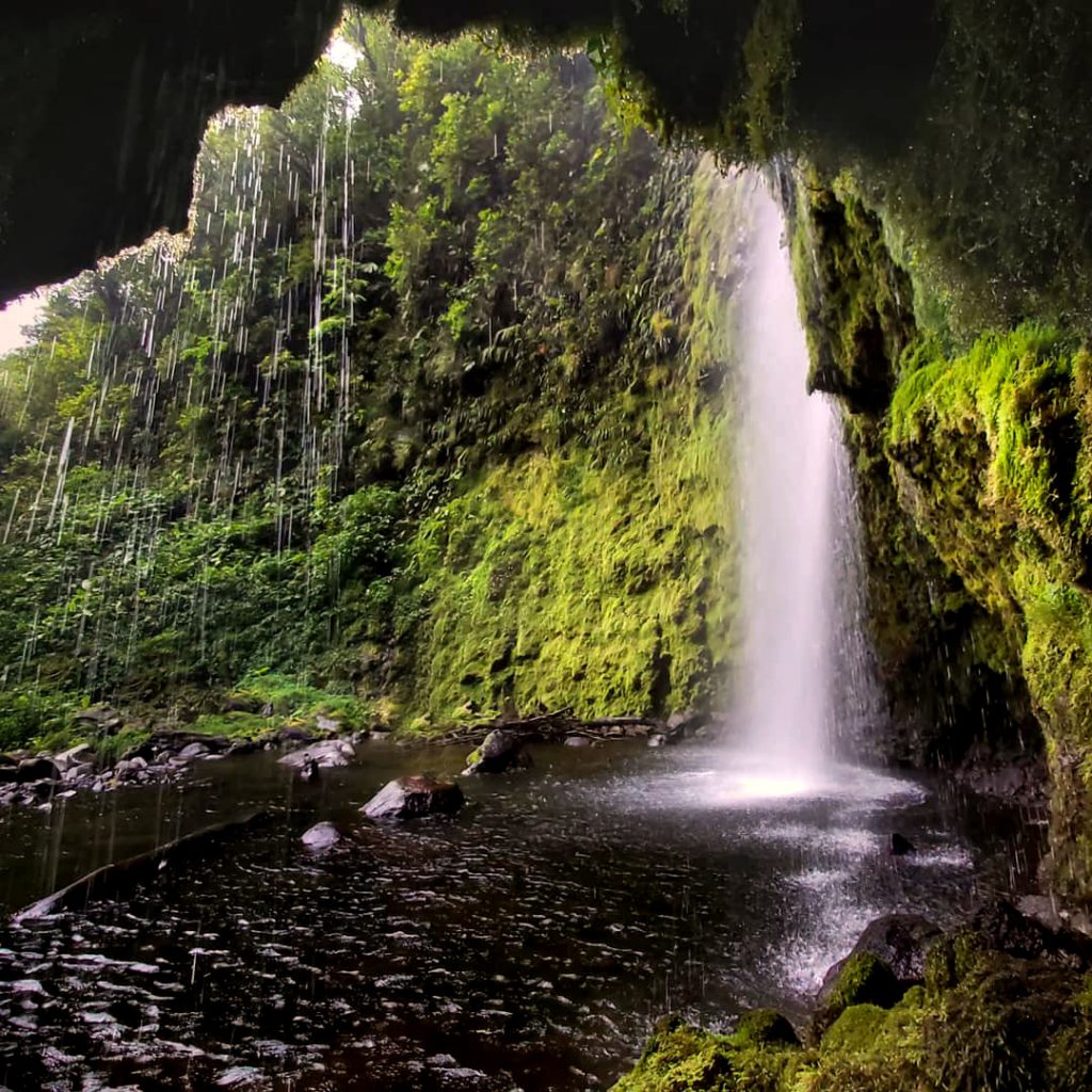 SELVAS ALTAS – Natura Tourism